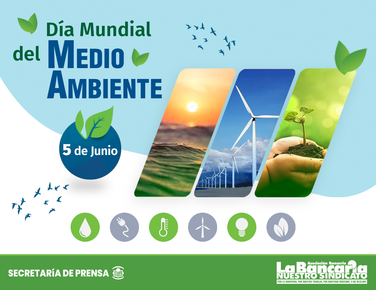 5 DE JUNIO. Día Mundial del Medio Ambiente – La Bancaria